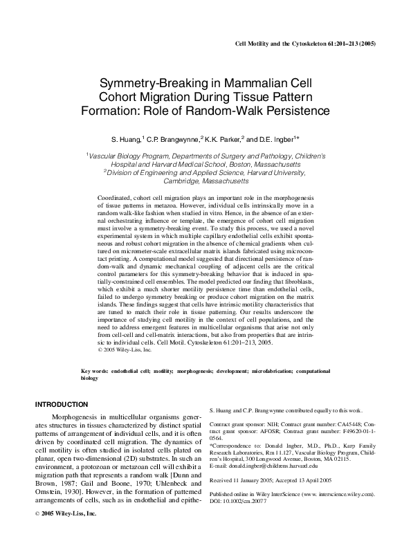 (PDF) Symmetry-Breaking in Cohort Cell Migration via Random Walks