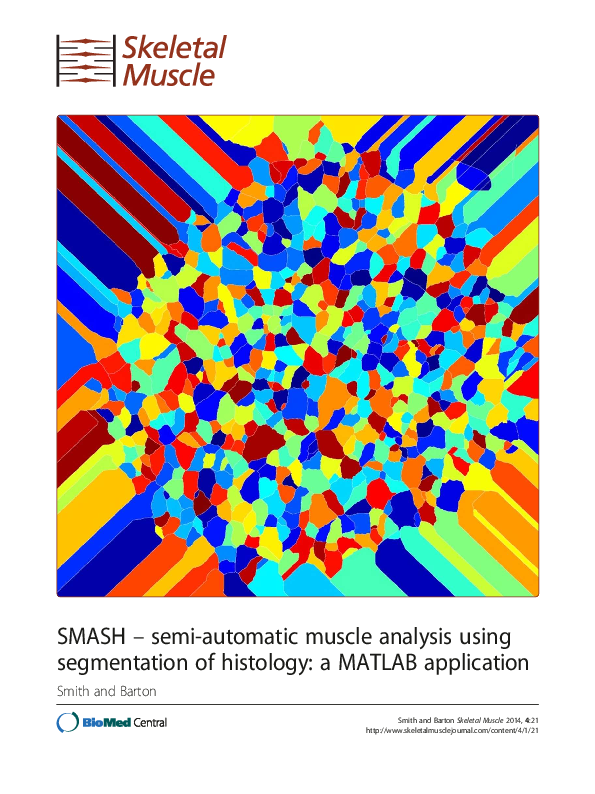 (PDF) SMASH – semi-automatic muscle analysis using segmentation of ...