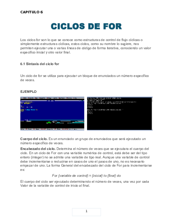 (DOC) CICLOS DE FOR