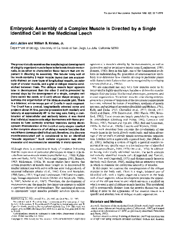 (PDF) Embryonic assembly of a complex muscle is directed by a single ...