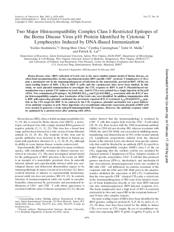 (PDF) Two major histocompatibility complex class I-restricted epitopes ...