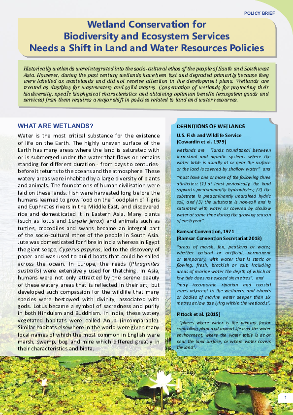 (PDF) What are Wetlands? Wetland Conservation for Biodiversity and Ecosystem Services Needs a ...