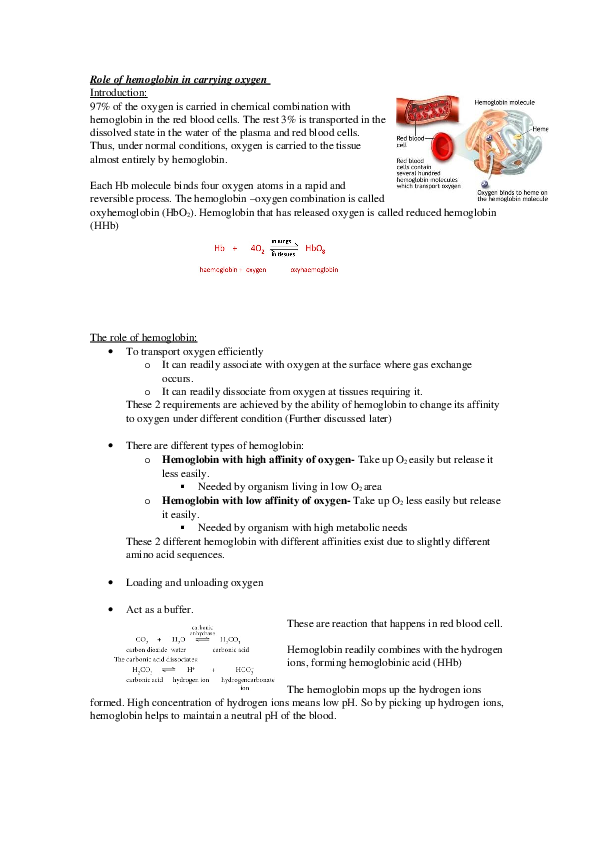(DOC) Role of hemoglobin in carrying oxygen
