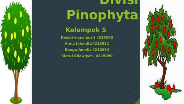 (PPT) Divisi Pinophyta.pptx