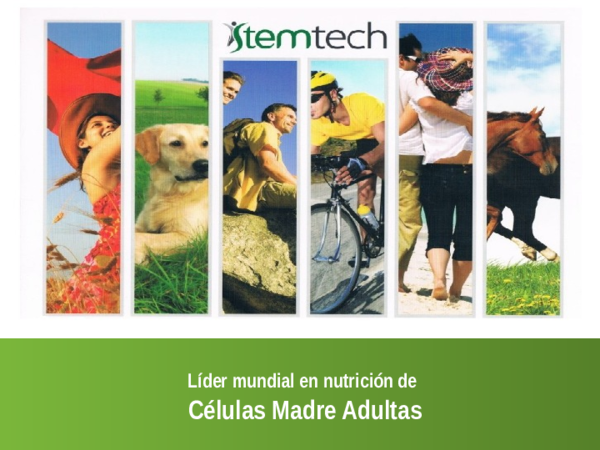 (PPT) PRESENTACION CELULAS MADRE STEMTECH