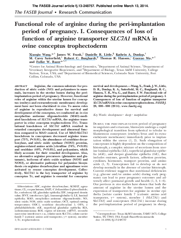 (PDF) Functional role of arginine during the peri-implantation period ...