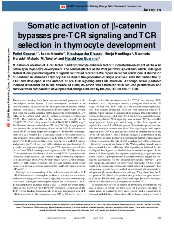 (PDF) Somatic activation of beta-catenin bypasses pre-TCR signaling and ...