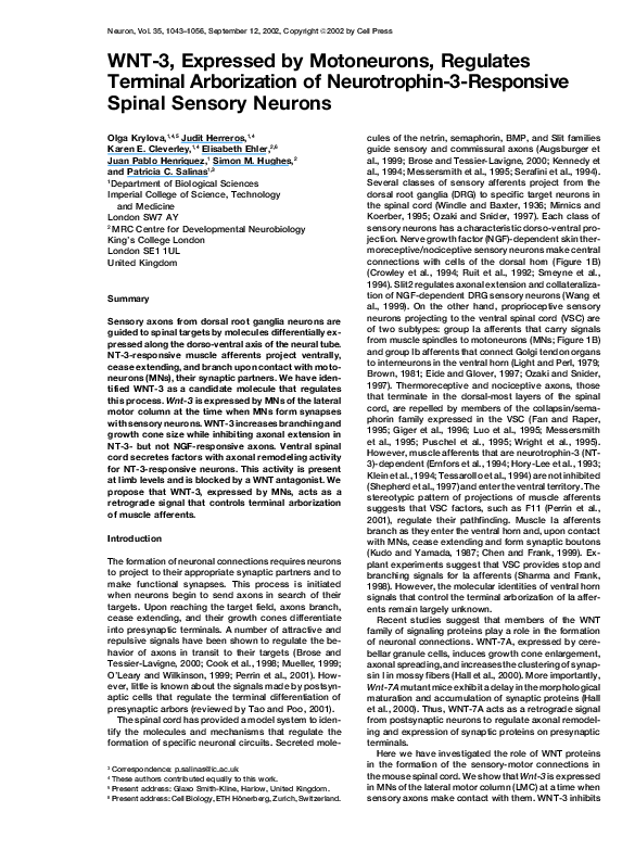 (PDF) WNT-3, Expressed by Motoneurons, Regulates Terminal Arborization ...