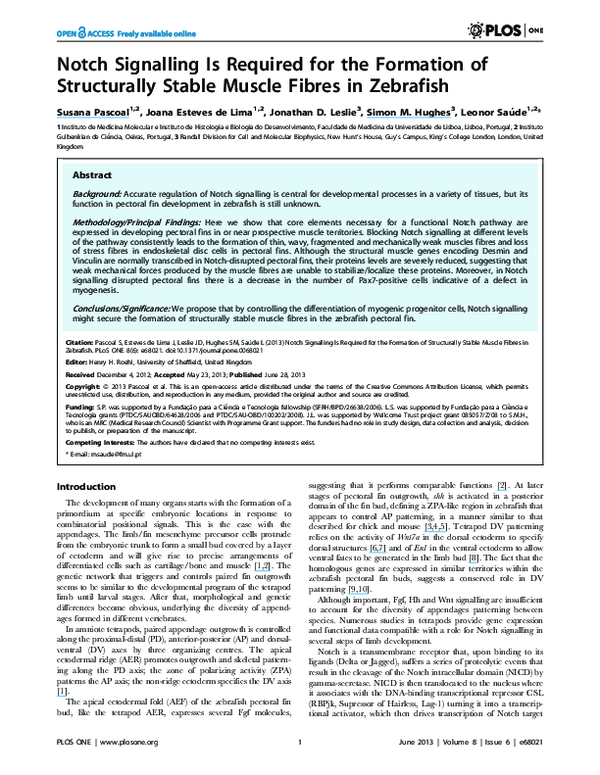(PDF) Notch Signalling Is Required for the Formation of Structurally Stable Muscle Fibres in ...