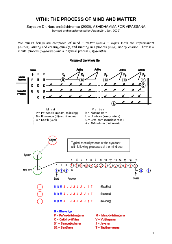 (PDF) Vithi: The Process of Mind and Matter