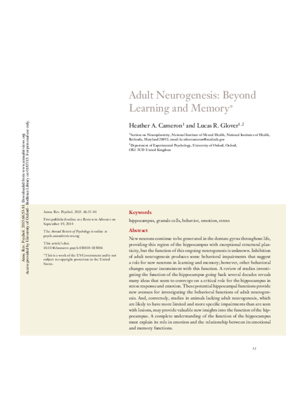 (PDF) Adult Neurogenesis: Beyond Learning and Memory