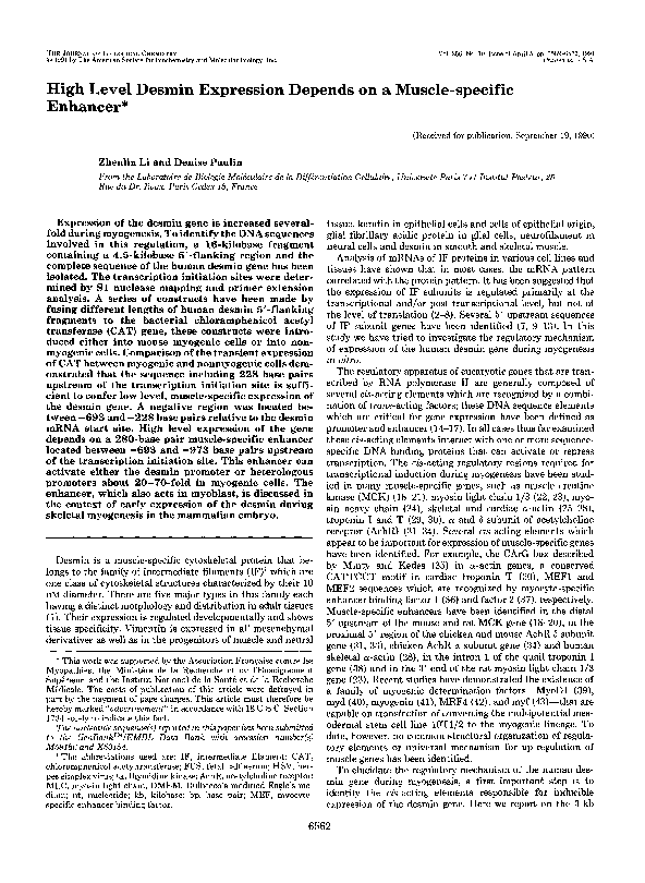(PDF) High level desmin expression depends on a muscle-specific enhancer