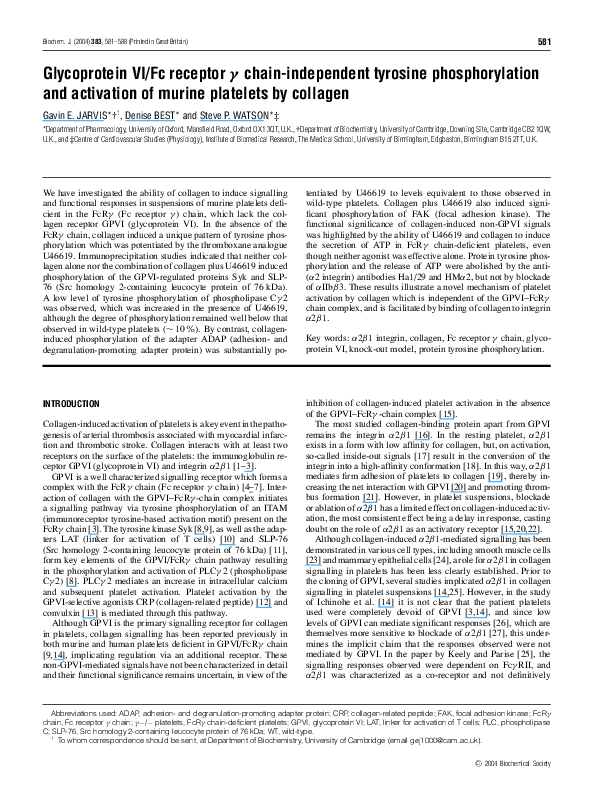 (PDF) Glycoprotein VI/Fc receptor γ chain-independent tyrosine ...