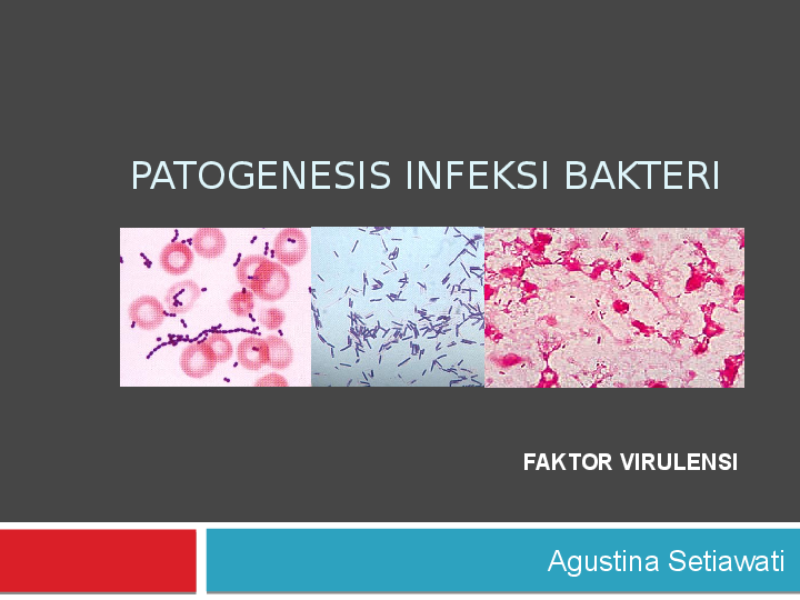 (PPT) Mekanisme patogenesis i