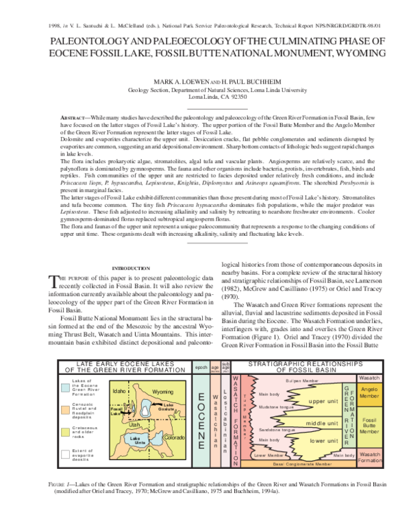 (PDF) PALEONTOLOGY AND PALEOECOLOGY OF THE CULMINATING PHASE OF EOCENE ...