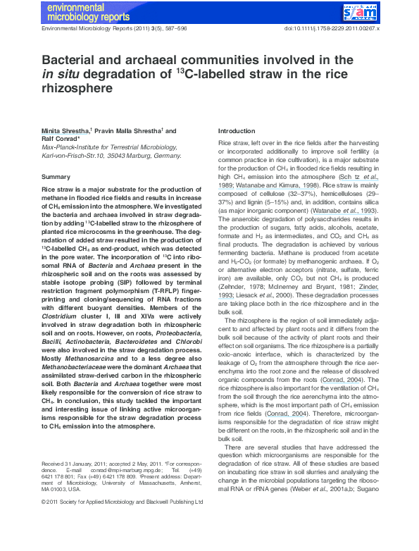 (PDF) Bacterial and archaeal communities involved in the in situ ...