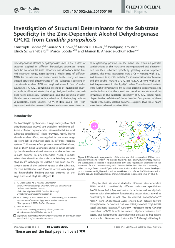 Pdf Investigation Of Structural Determinants For The Substrate