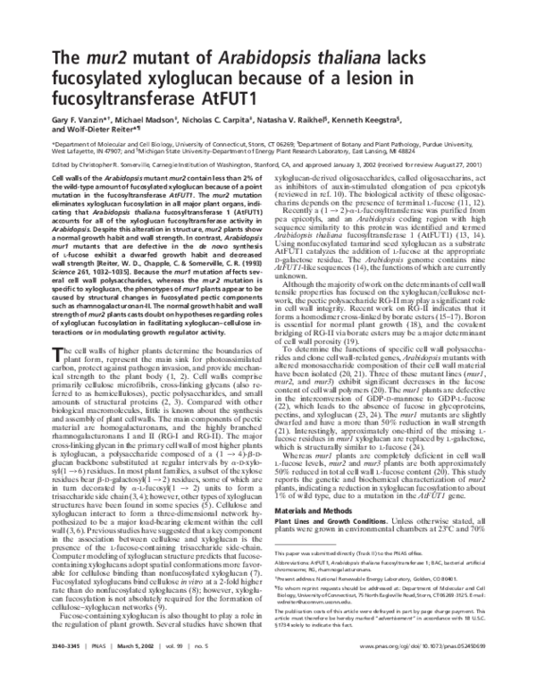 (PDF) The mur2 mutant of Arabidopsis thaliana lacks fucosylated xyloglucan because of a lesion ...