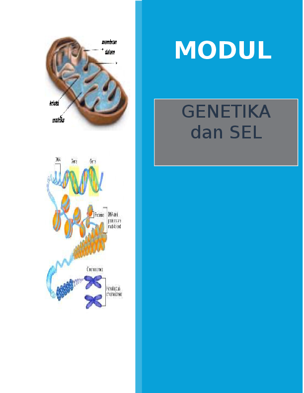 (DOC) modul genetika dan sel