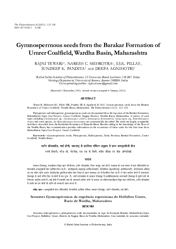(PDF) Gymnospermous seeds from the Barakar Formation of Umrer Coalfield ...