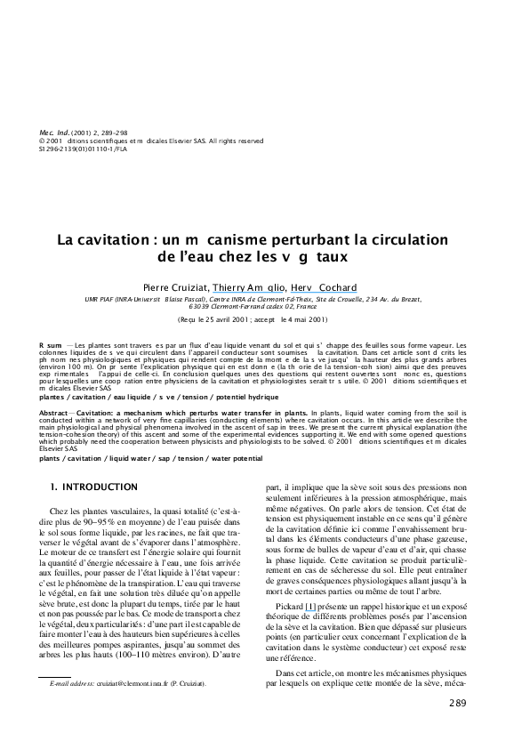 (PDF) Cavitation: a mechanism which perturbs water transfer in plants ...