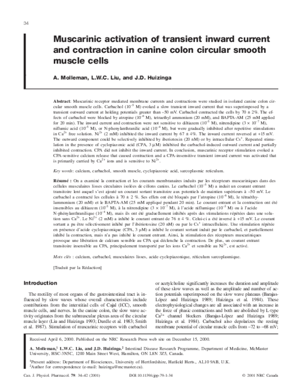 (PDF) Muscarinic activation of transient inward current and contraction ...
