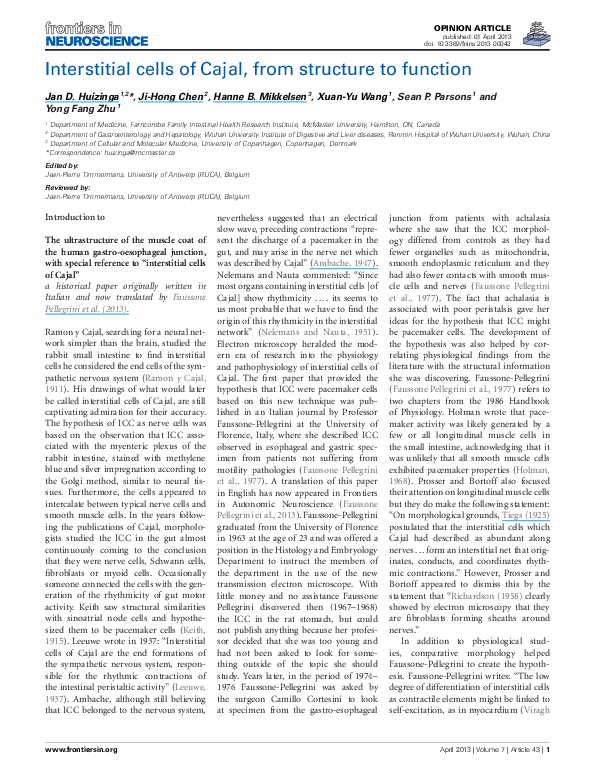 (PDF) Interstitial cells of Cajal, from structure to function