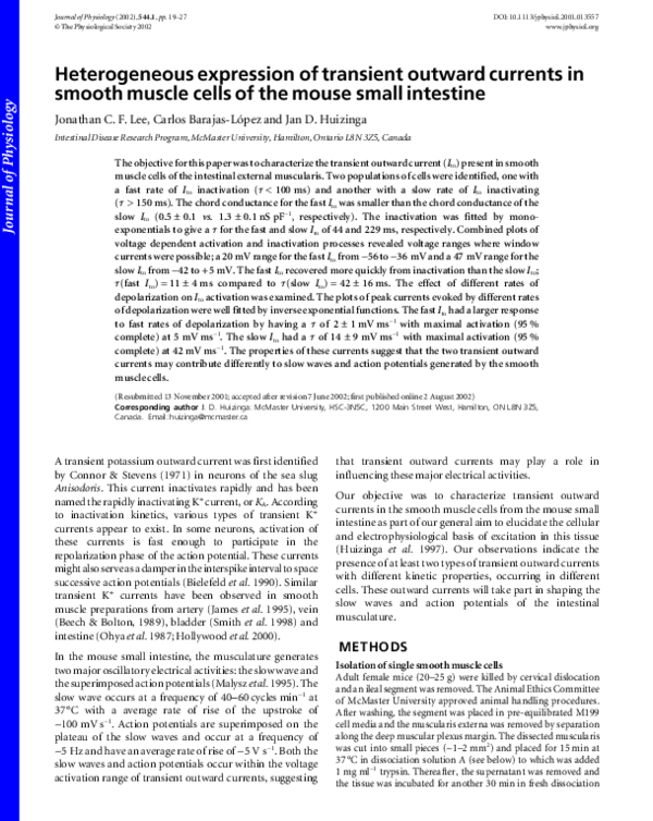 (PDF) Heterogeneous expression of transient outward currents in smooth ...