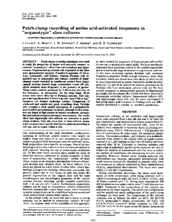 (PDF) Patch-clamp recording of amino acid-activated responses in "organotypic" slice cultures