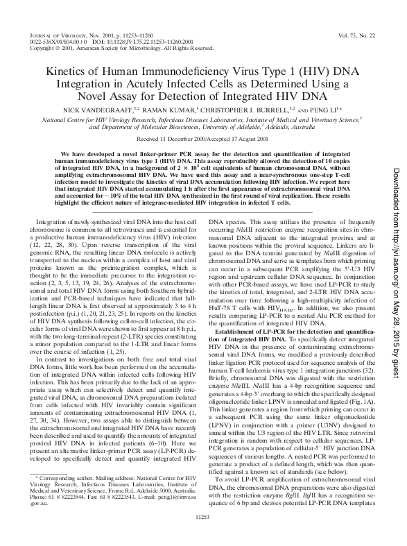 (PDF) Kinetics of Human Immunodeficiency Virus Type 1 (HIV) DNA ...