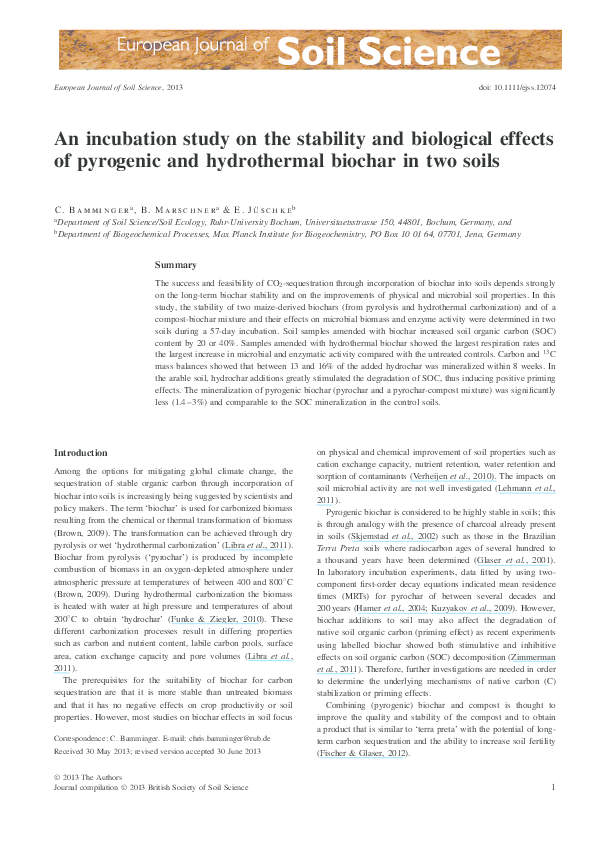 (PDF) An incubation study on the stability and biological effects of ...