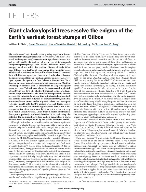 (PDF) Giant cladoxylopsid trees resolve the enigma of the Earth’s ...