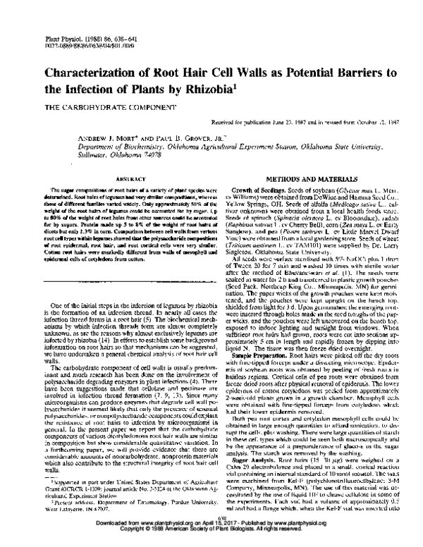 (PDF) Characterization of Root Hair Cell Walls as Potential Barriers to ...