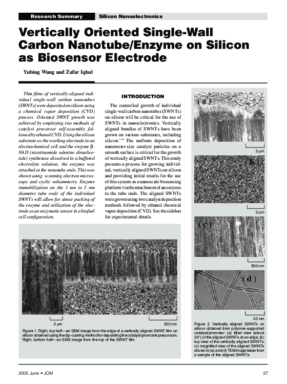 (PDF) Single-Wall Carbon Nanotube-Based Enzyme Biosensor on Silicon