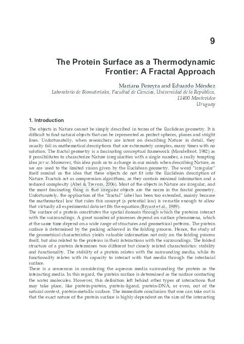 (PDF) The Protein Surface as a Thermodynamic Frontier: A Fractal Approach