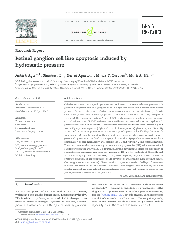 Retinal ganglion cell line apoptosis induced by hydrostatic pressure