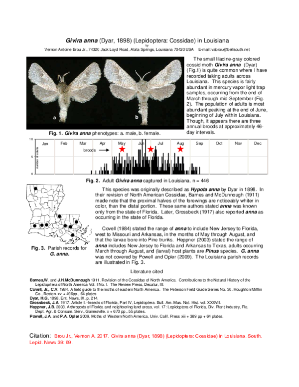 (PDF) Givira anna (Dyar, 1898) (Lepidoptera: Cossidae) in Louisiana ...