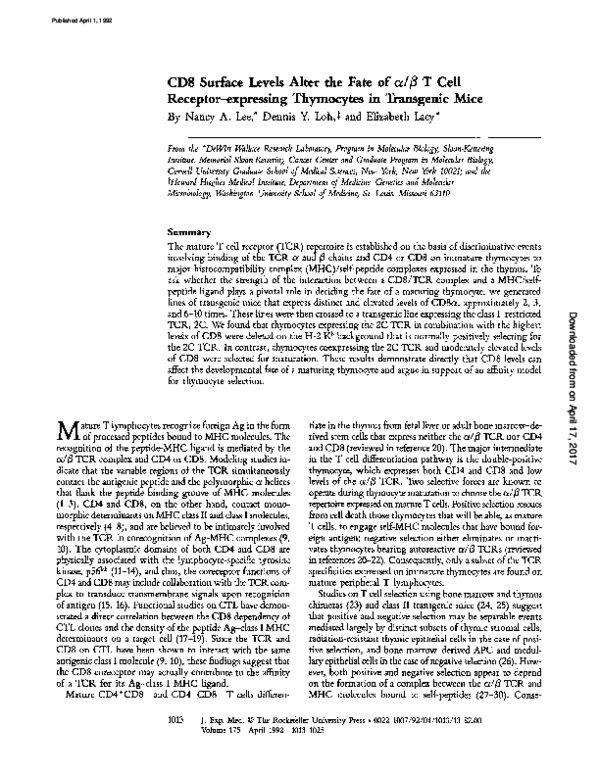 (PDF) CD8 surface levels alter the fate of alpha/beta T cell receptor ...
