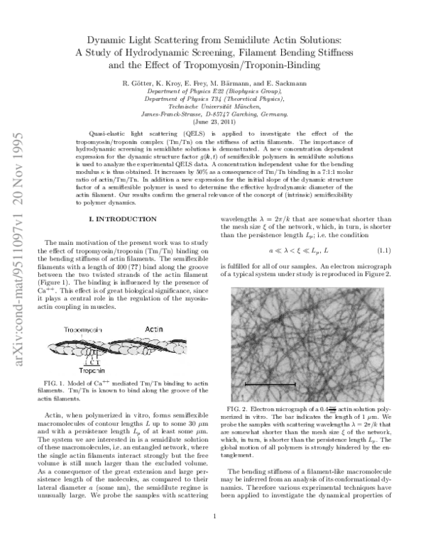 (PDF) Dynamic Light Scattering from Semidilute Actin Solutions: A Study ...