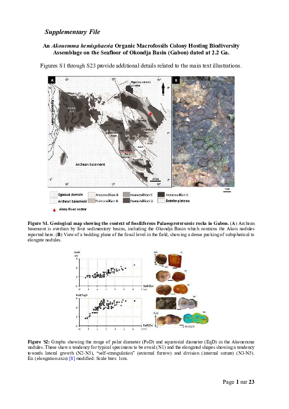 (PDF) Supplementary File