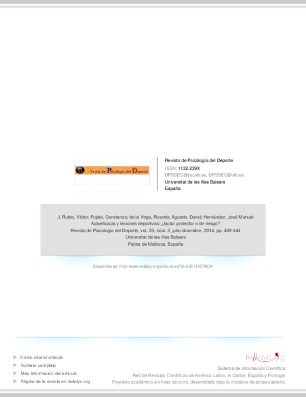 (PDF) Autoeficacia y lesiones deportivas:¿ factor protector o de riesgo?