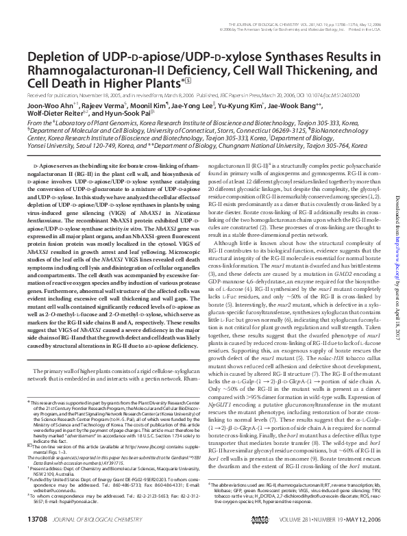 (PDF) Depletion of UDP-D-apiose/UDP-D-xylose Synthases Results in ...