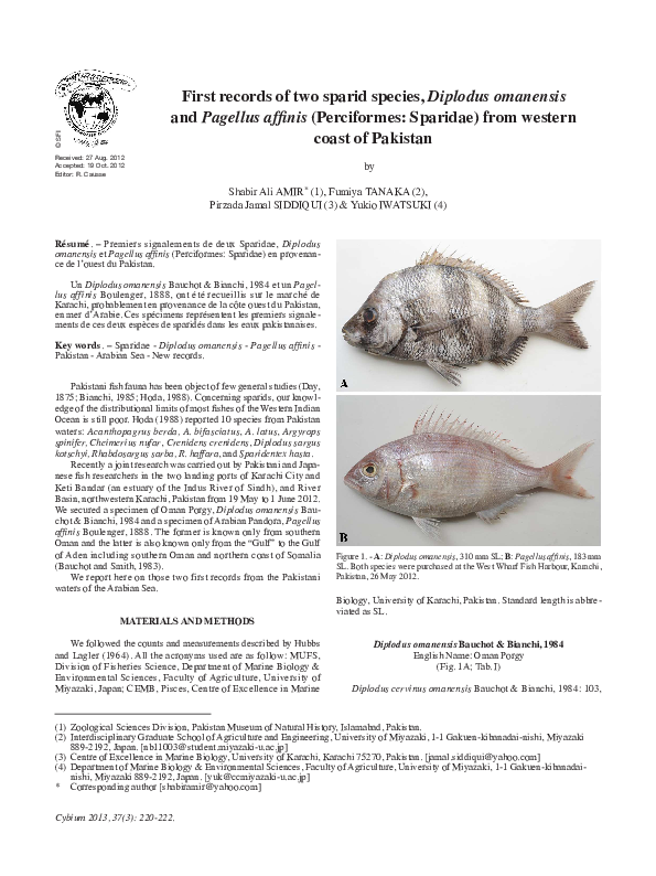(PDF) First records of two sparid species, Diplodus omanensis and ...