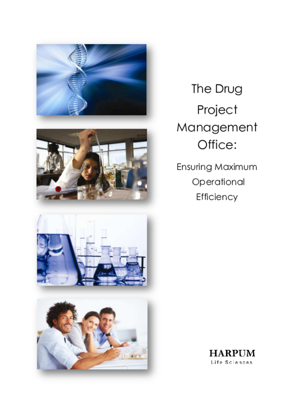 (PDF) The Drug Project Management Office: The Drug Delivery Project ...