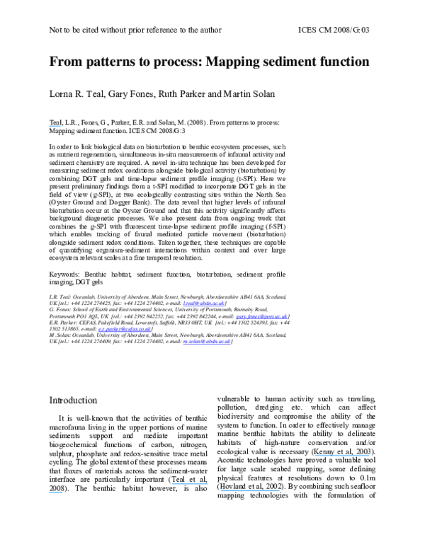 (PDF) From patterns to process: mapping sediment function