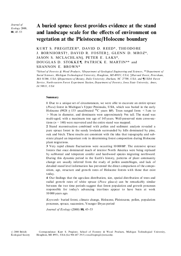 (PDF) A buried spruce forest provides evidence at the stand and ...