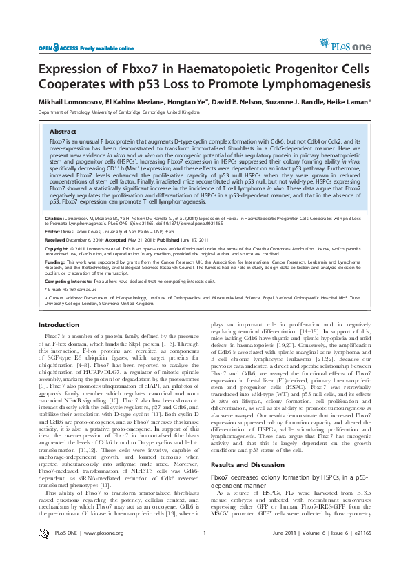 (PDF) Knockdown of Fbxo7 reveals its regulatory role in proliferation ...