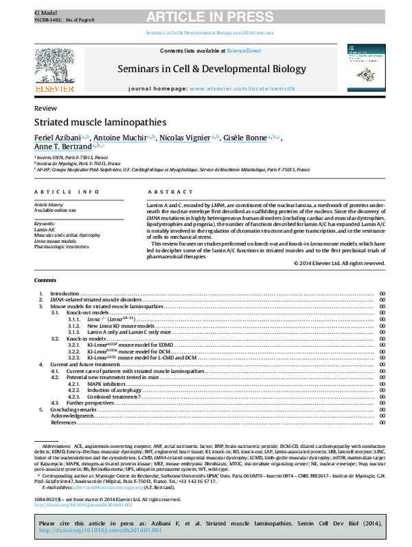 (PDF) Striated muscle laminopathies