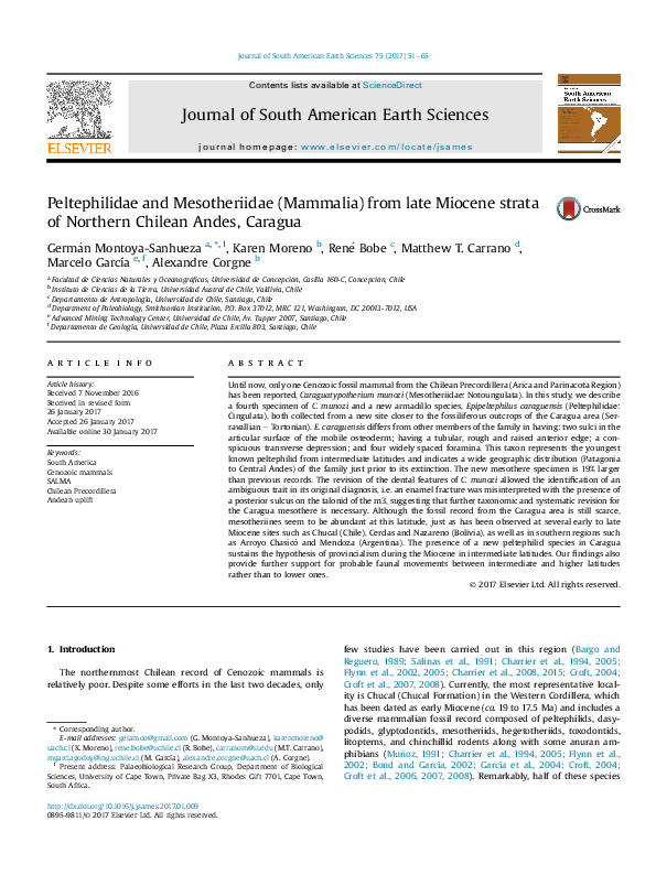 (PDF) Peltephilidae and Mesotheriidae (Mammalia) from late Miocene ...