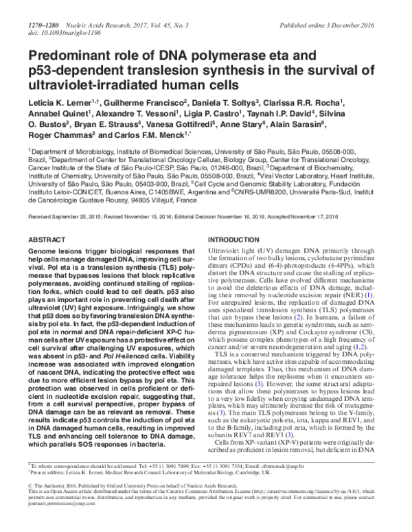 (PDF) Predominant role of DNA polymerase eta and p53-dependent ...